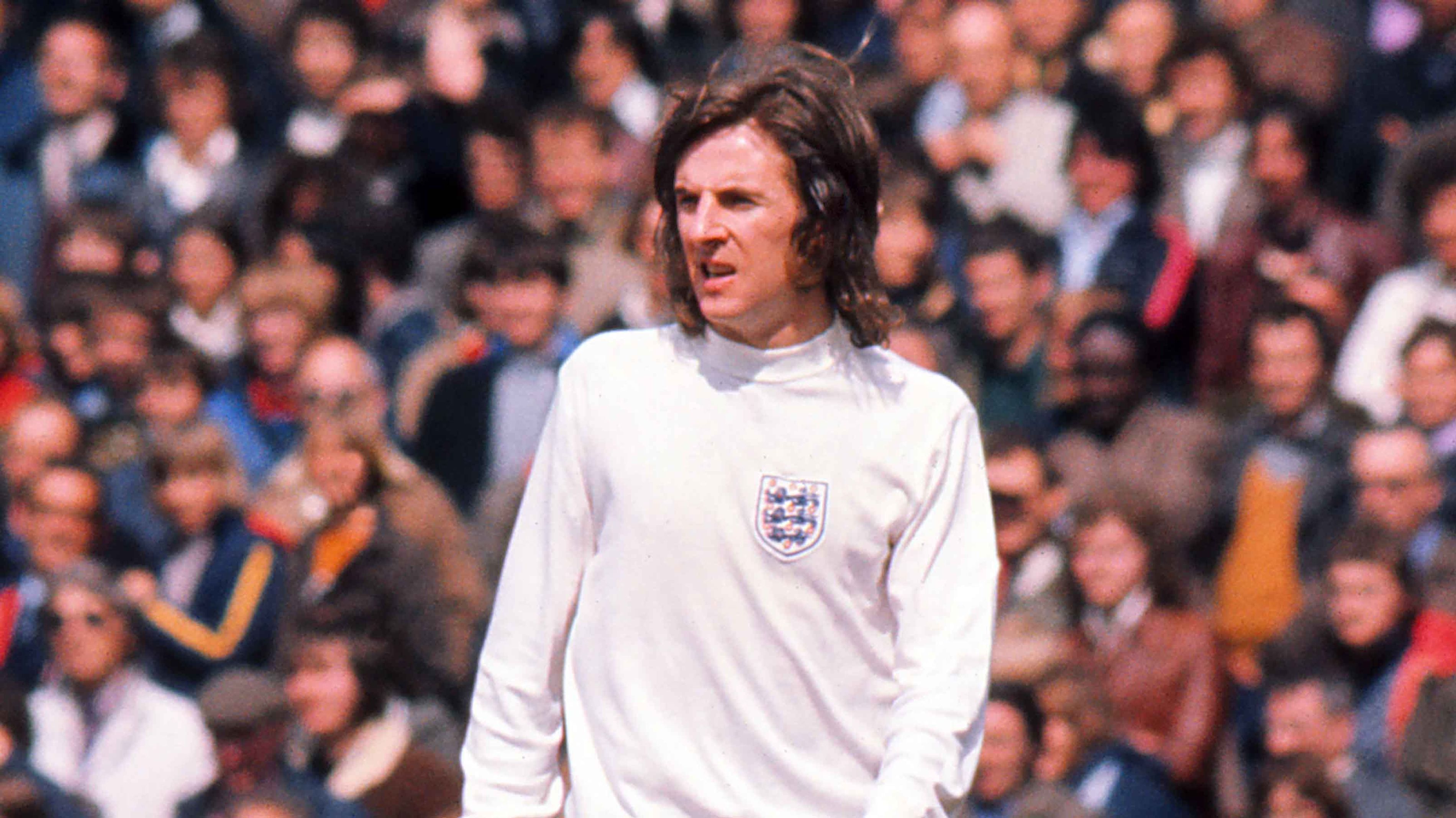 QPR FC | Official website of Queens Park Rangers for the latest news ...